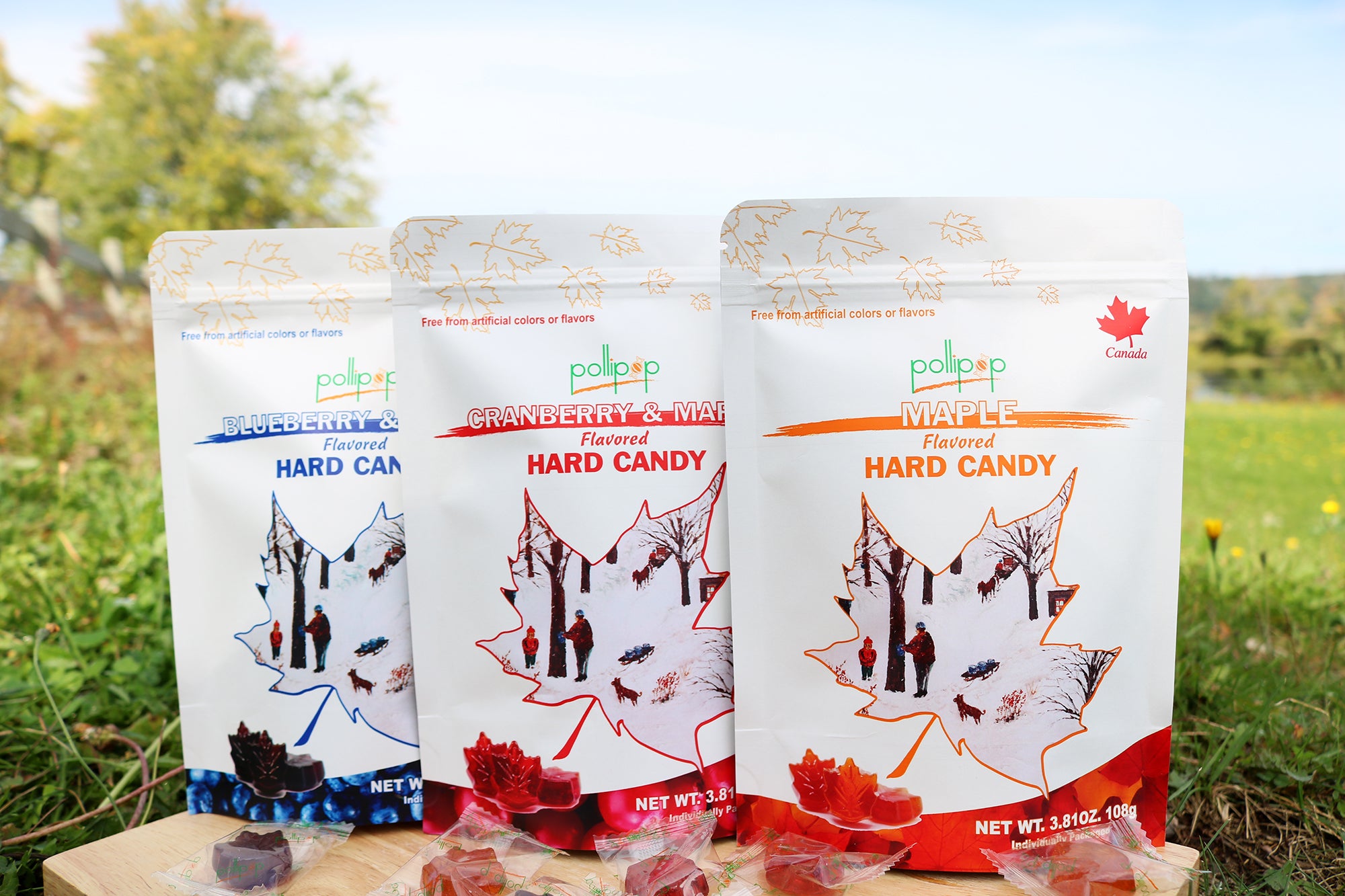 Pollipop maple candy and lollipop products with US Labelling – POLLIPOP