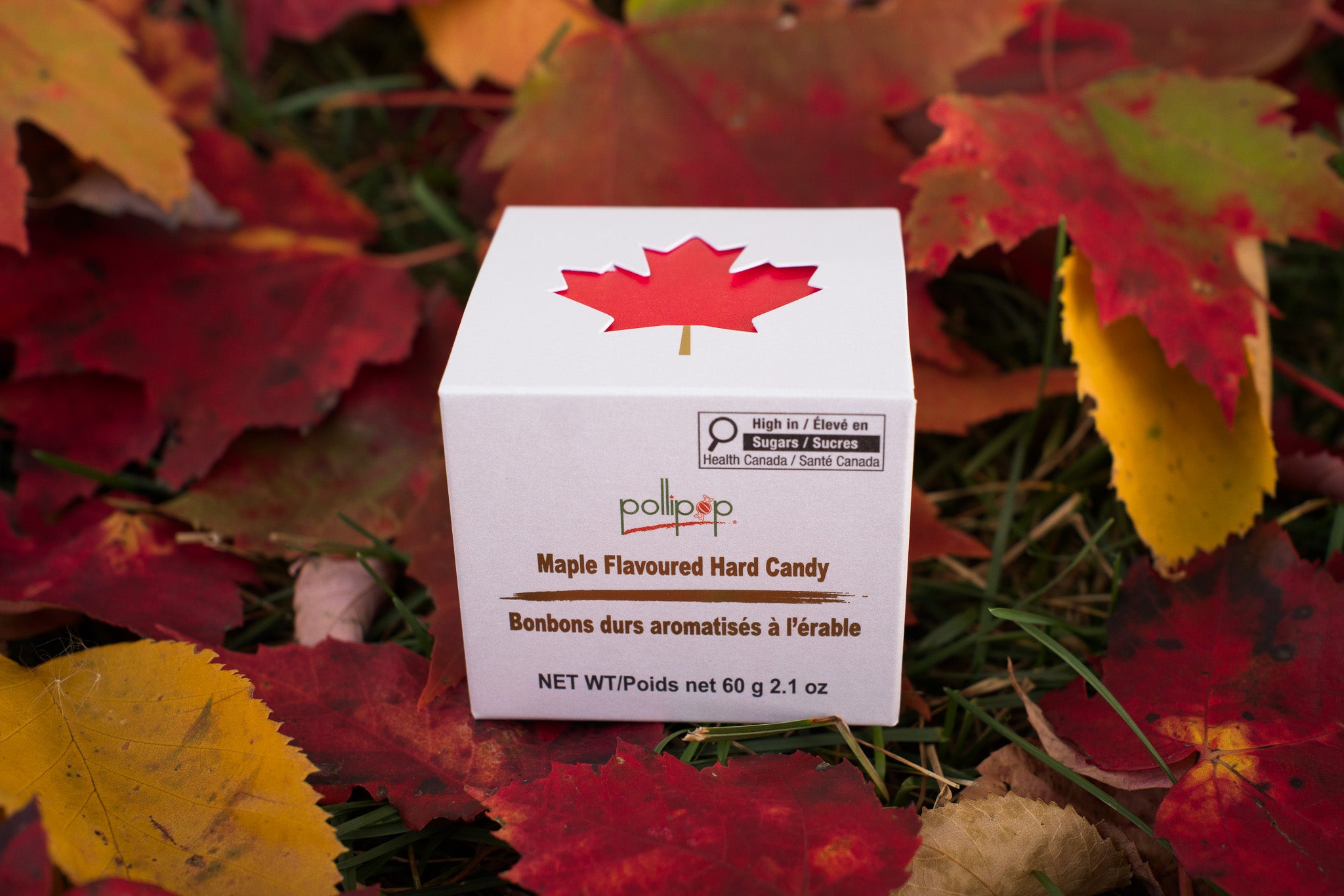 Pollipop Maple Candy & Lollipop – POLLIPOP