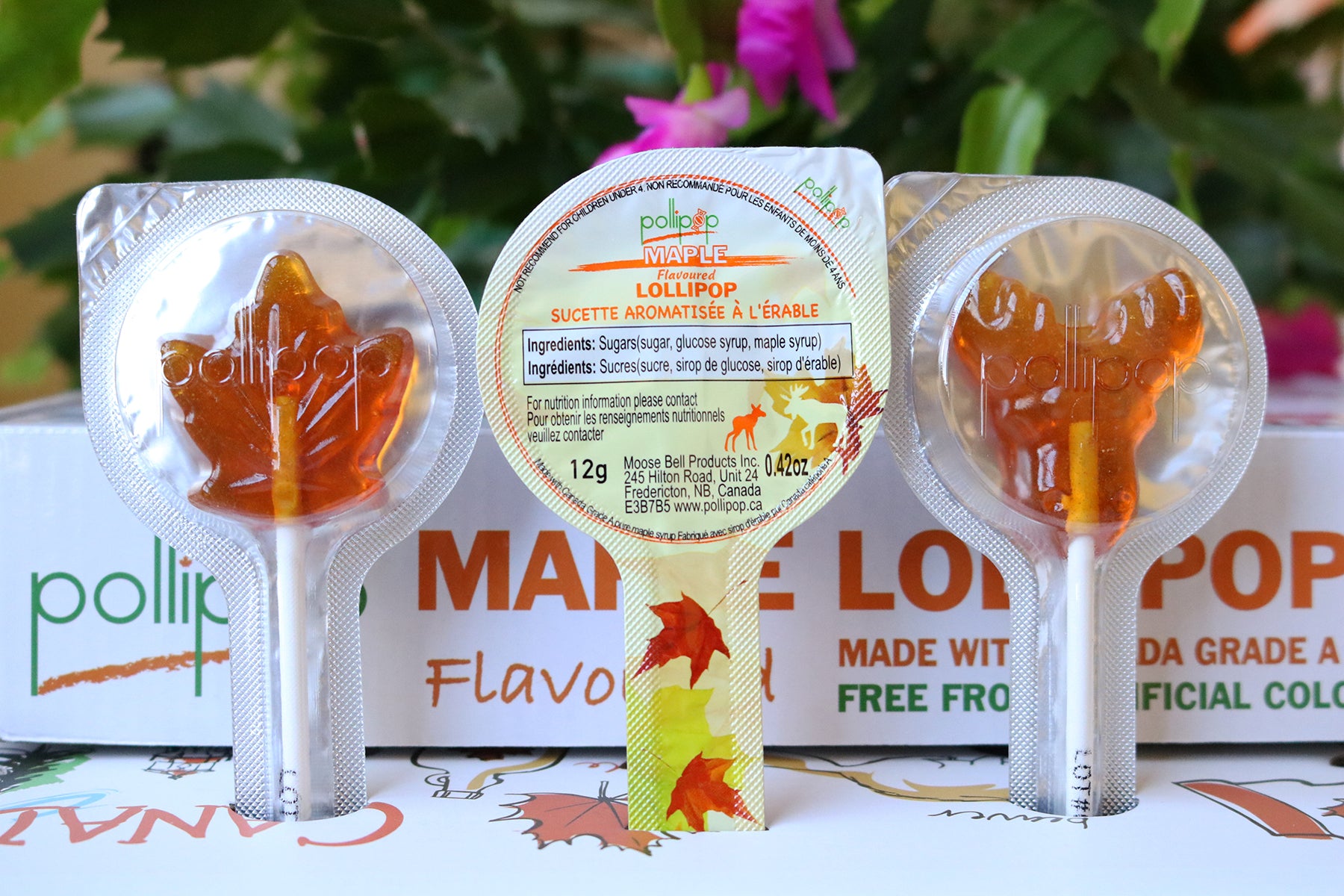 Maple Lollipop – POLLIPOP