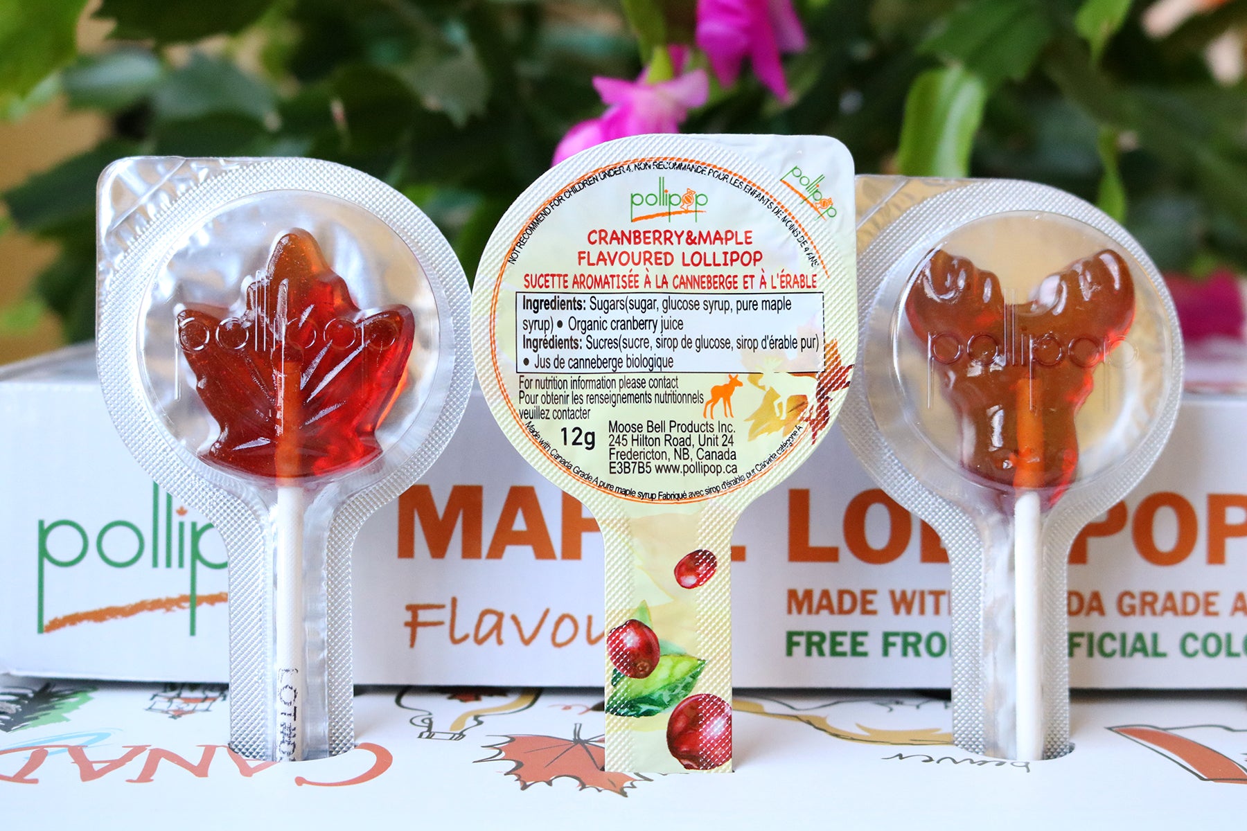 Cranberry & Maple Lollipop – POLLIPOP