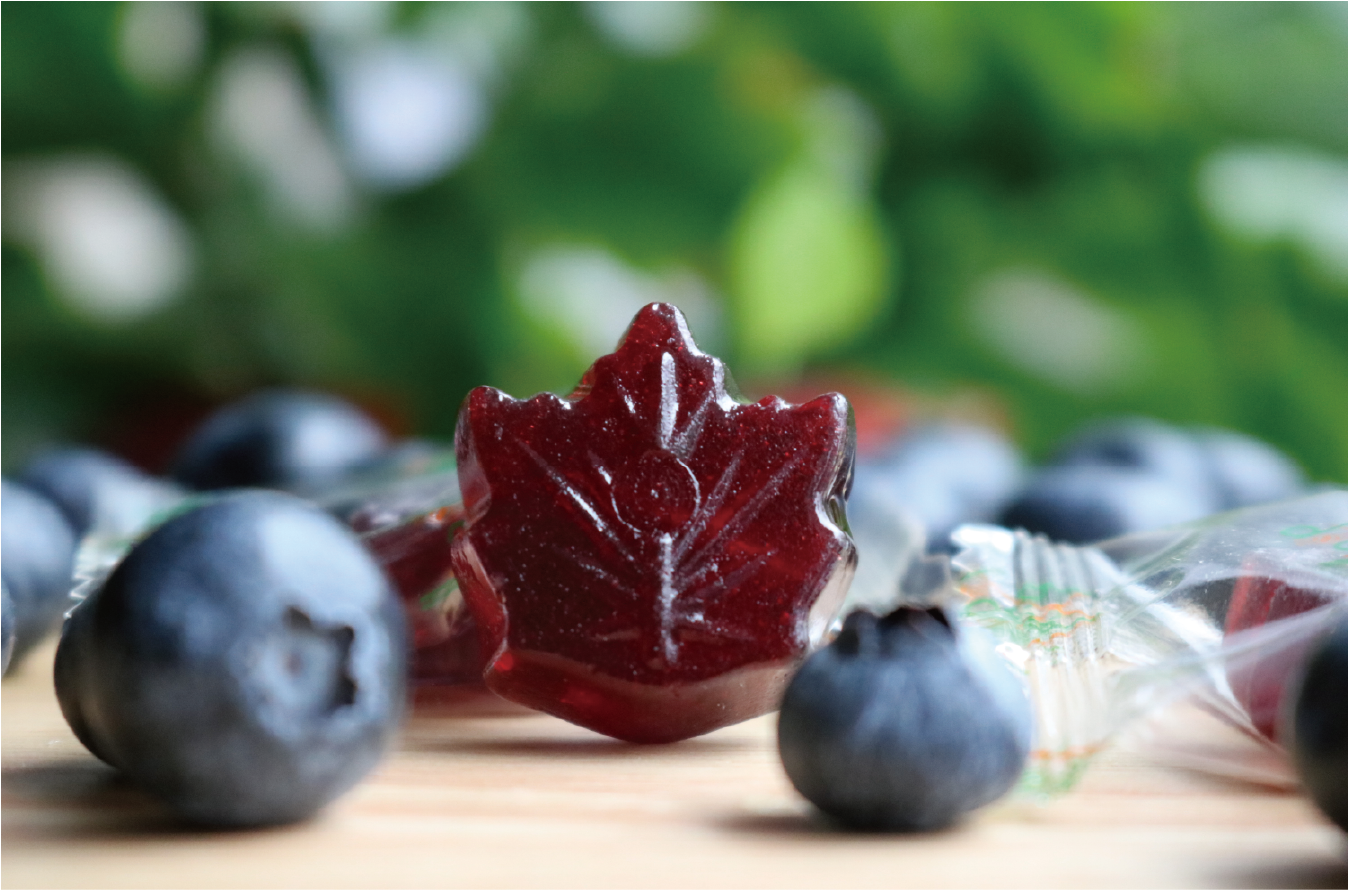 Blueberry & Maple Flavoured Candy/Bonbon aromatisé au bleuet et à l'ér ...